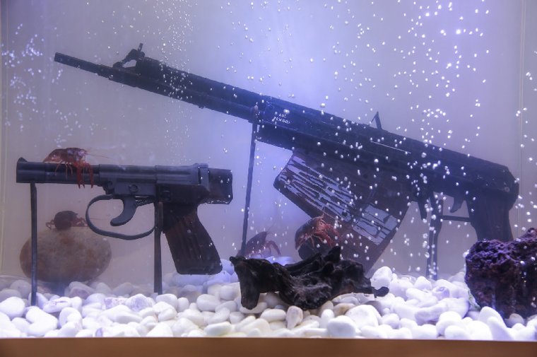 firearm underwater